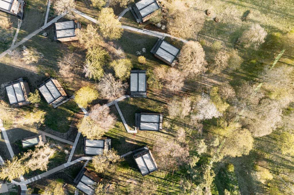 Homeground - Jonathan Danko Kielkowski